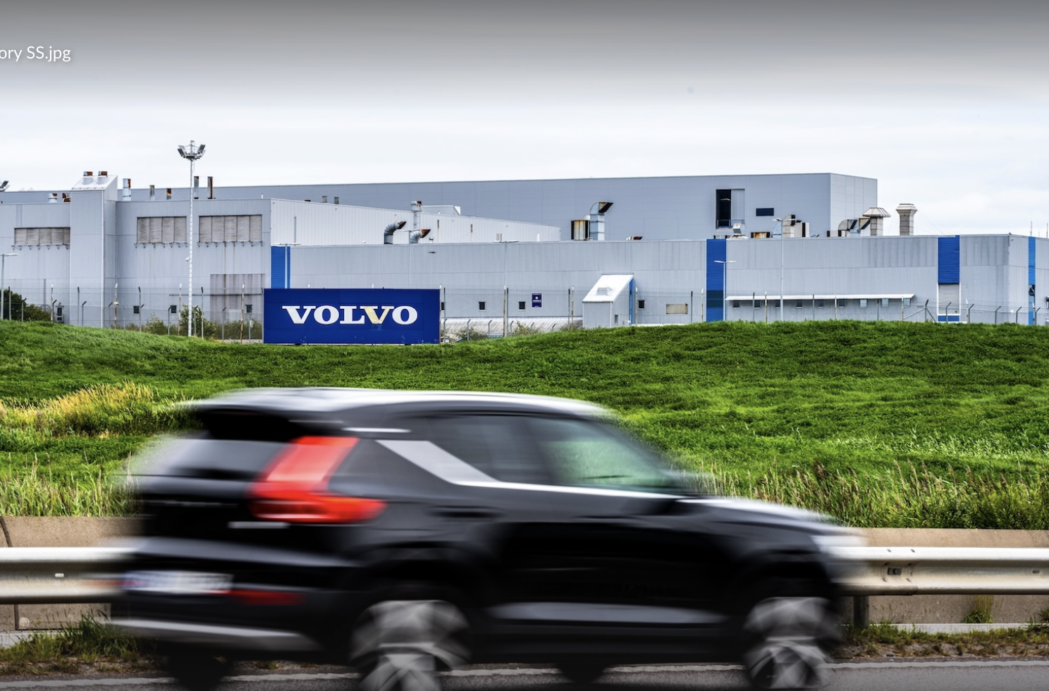 Volvo’s plan to address biodiversity across its supply chain | Trellis