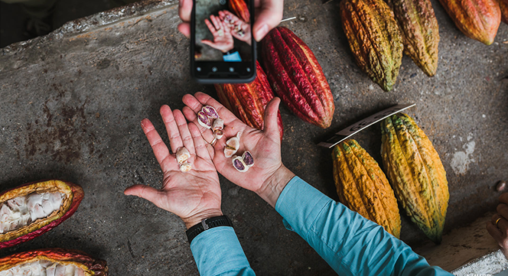 This Colombian chocolate producer promotes human rights and ...